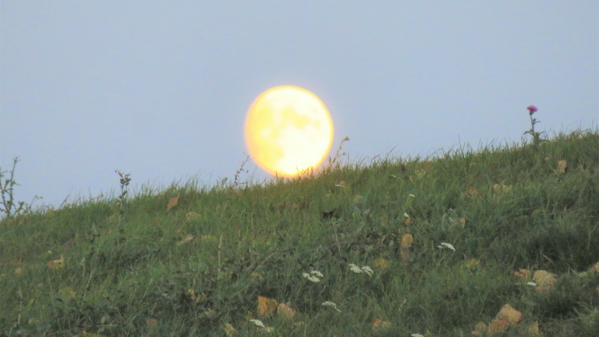 Wohin rollt der Mond?