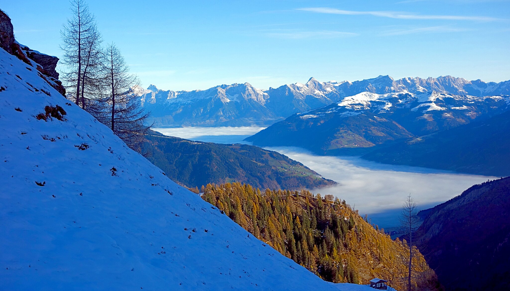 Schritt um Schritt in den Winter hinein.