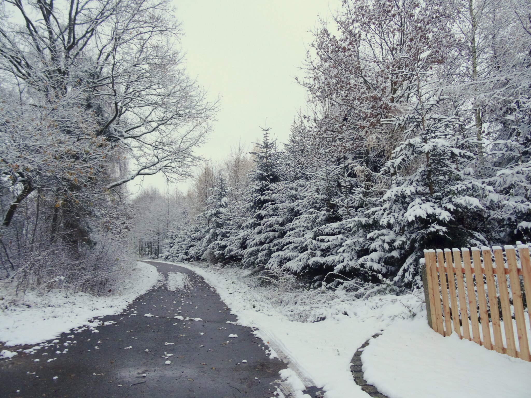 Erste Schneefall