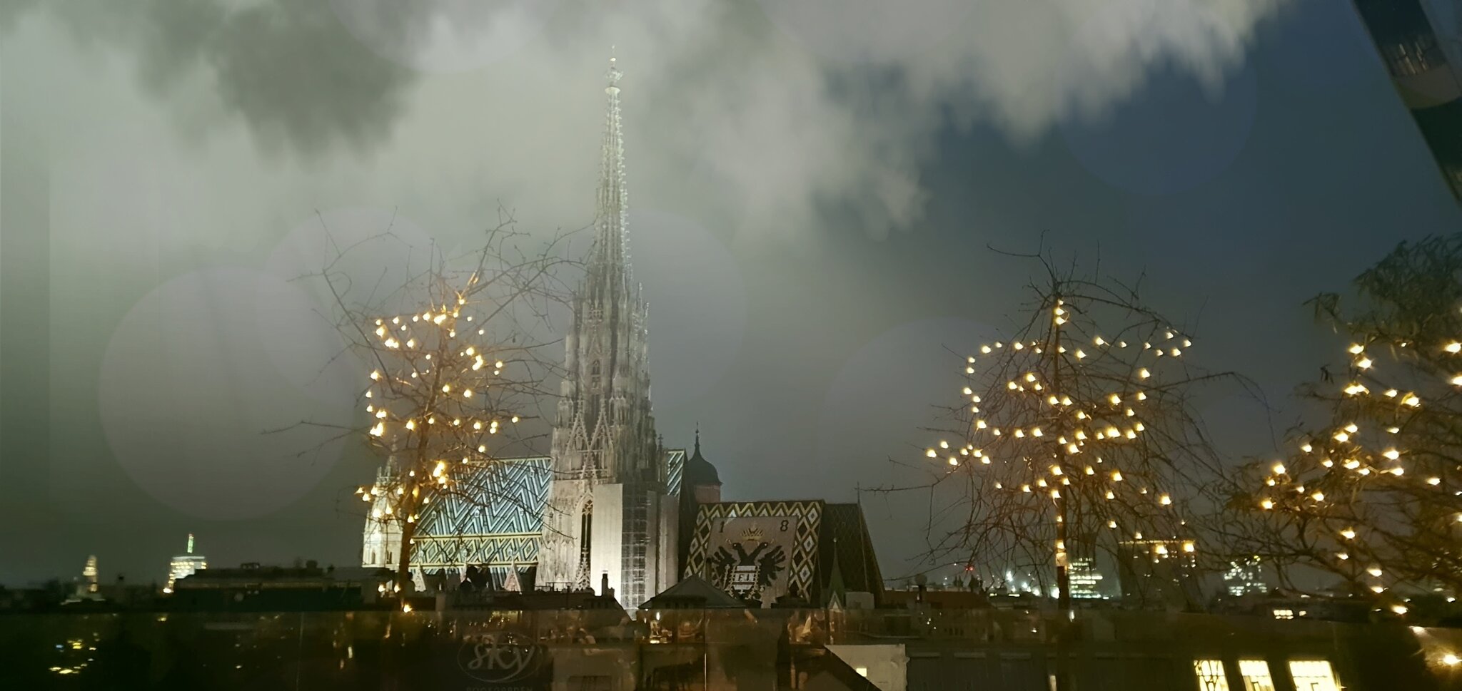 Stephansdom im Nebel und Lichterbäume von der Sky Bar aus.