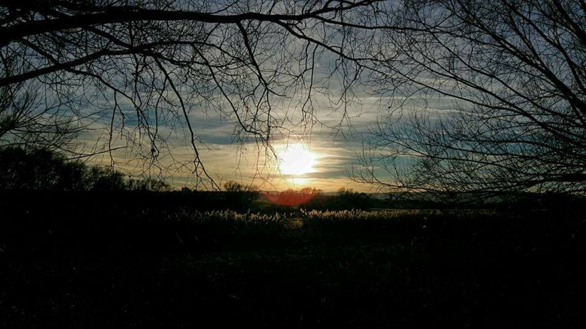 Atemberaubende Schönheit