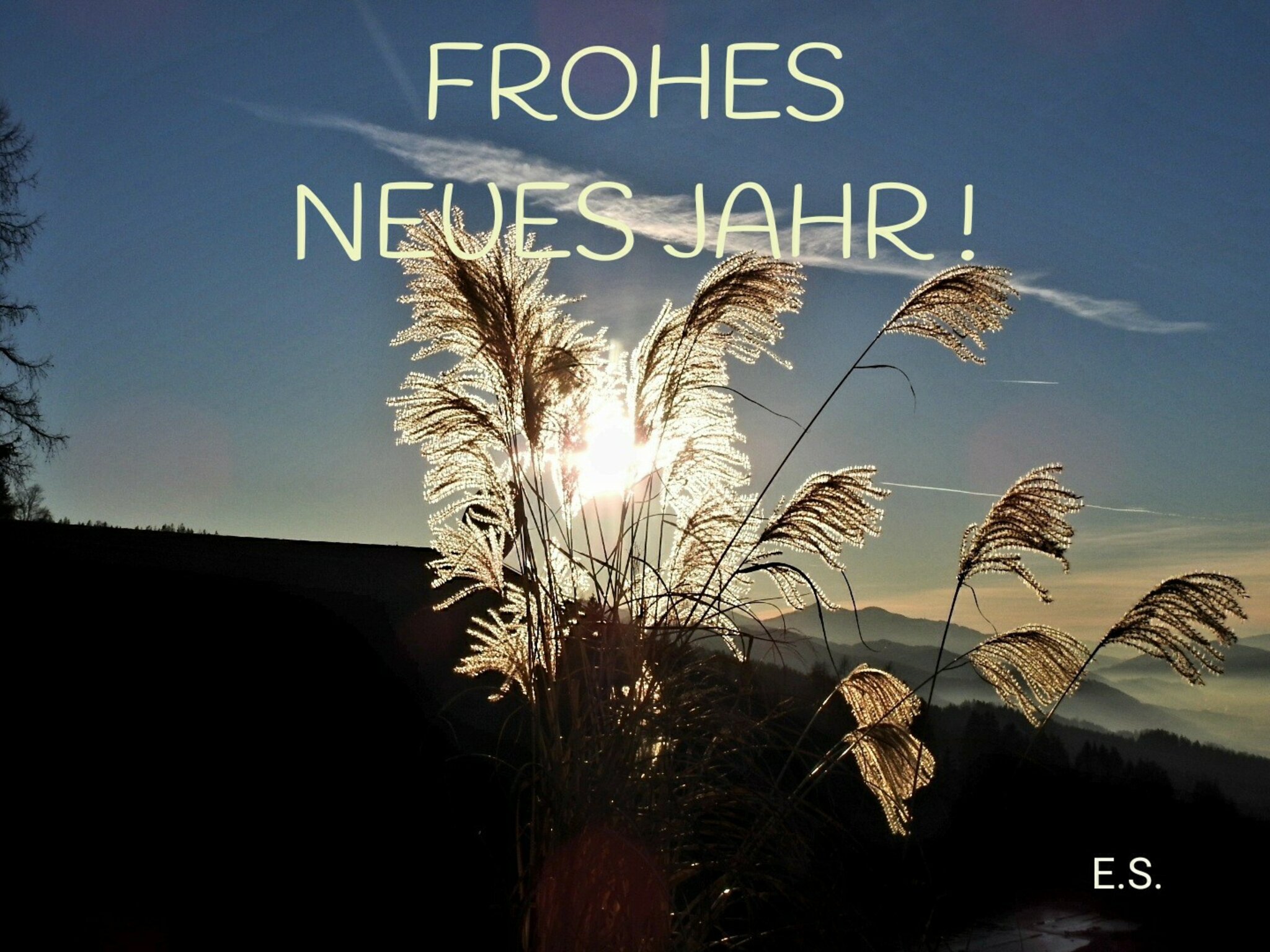 🍀🍄 Frohes neues Jahr 2023 !🍀🍄