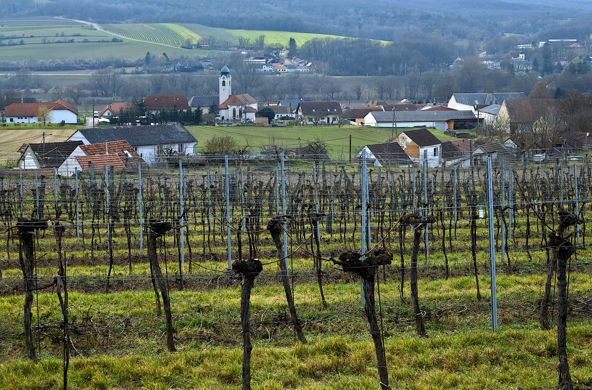 Blick auf Großwetzdorf (Heldenberg)
