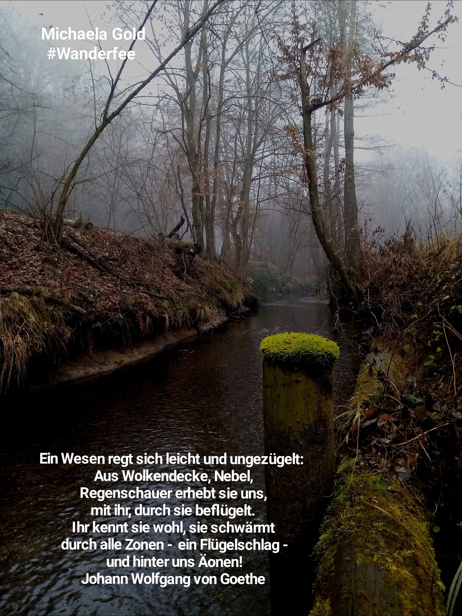 Ein Wesen regt sich leicht und ungezügelt: Aus Wolkendecke, Nebel ...