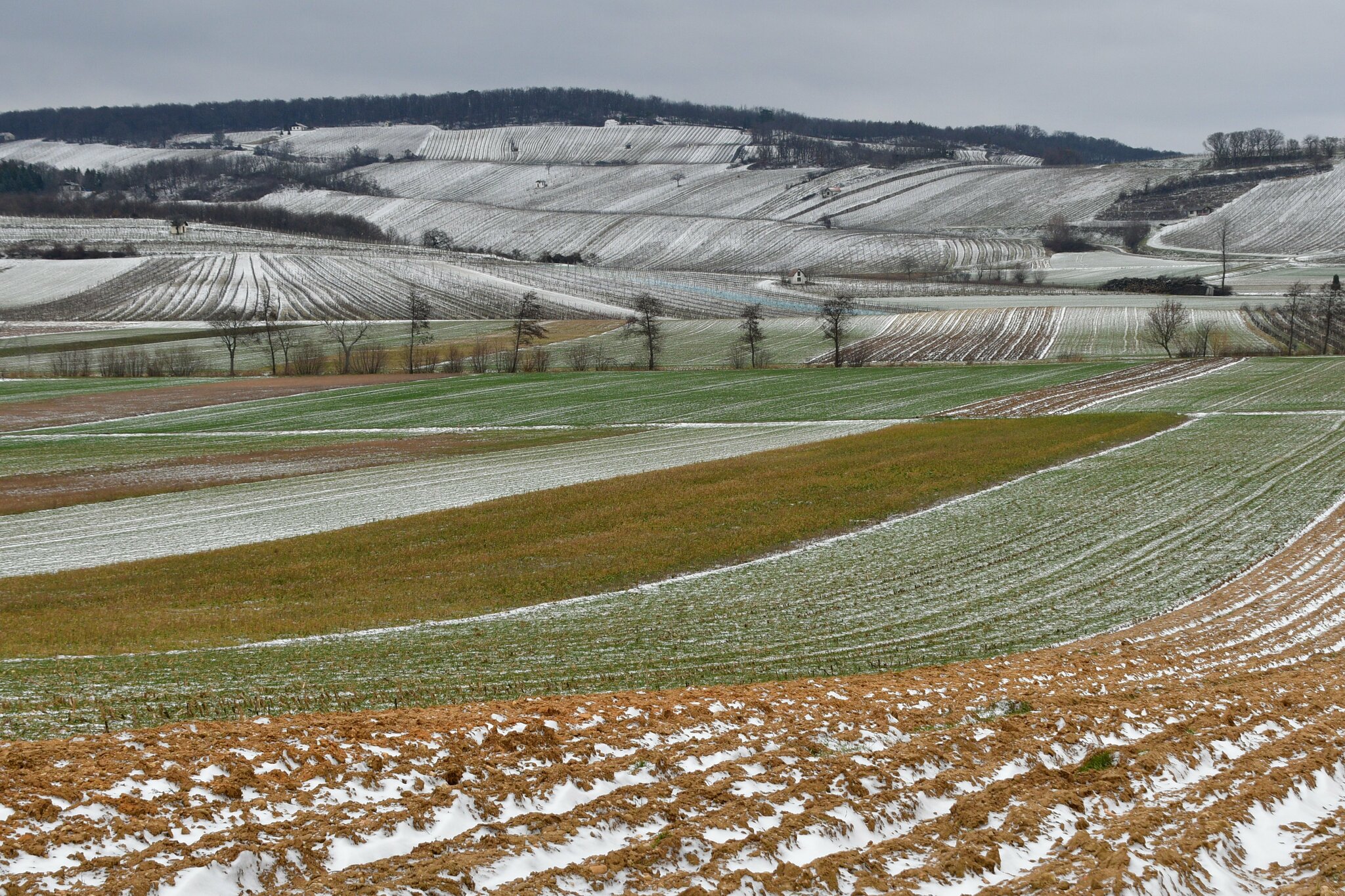 Täglich verändert sich das Landschaftsbild!
