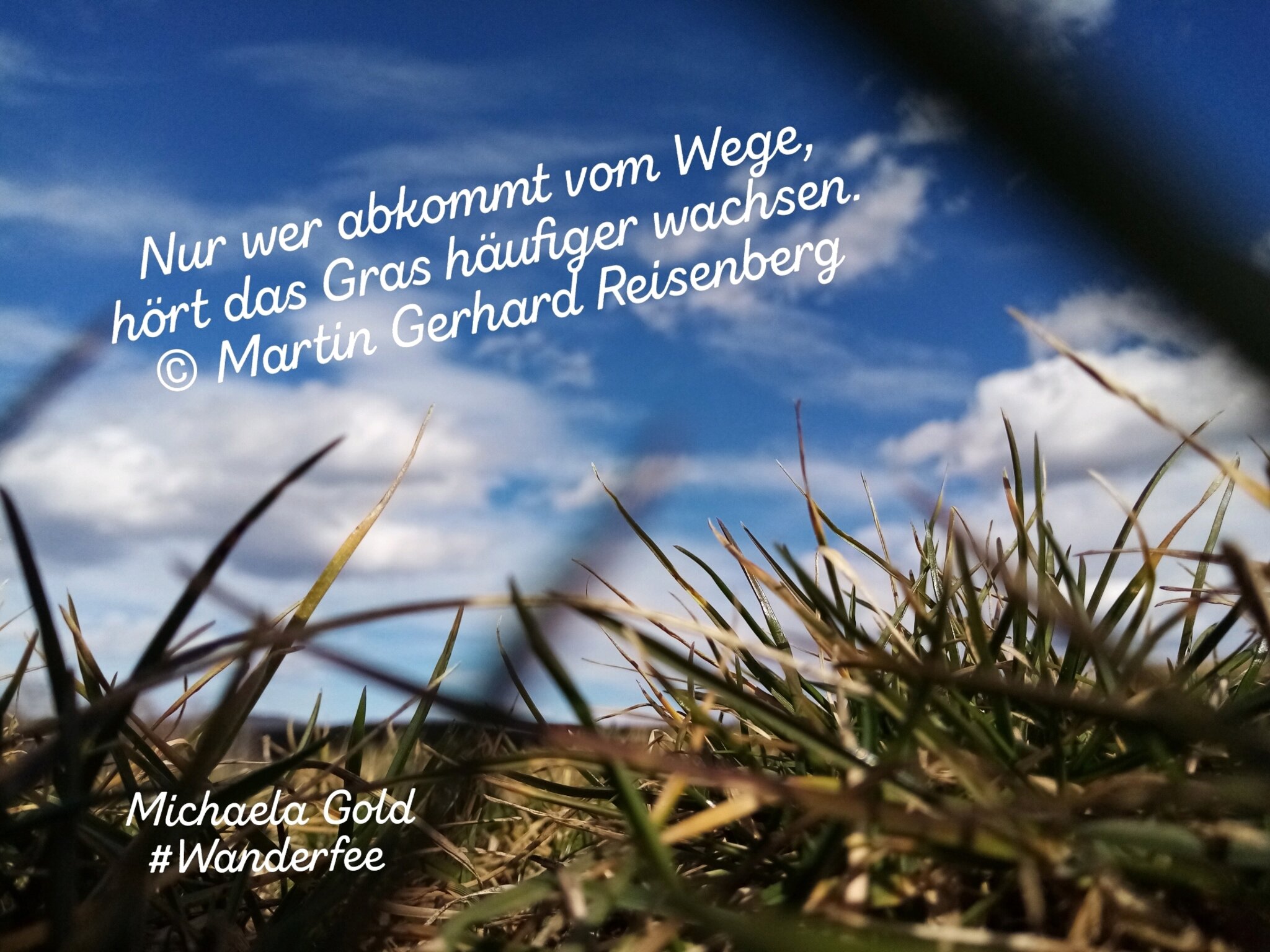 Nur wer abkommt vom Wege, hört das Gras häufiger wachsen. © Martin ...