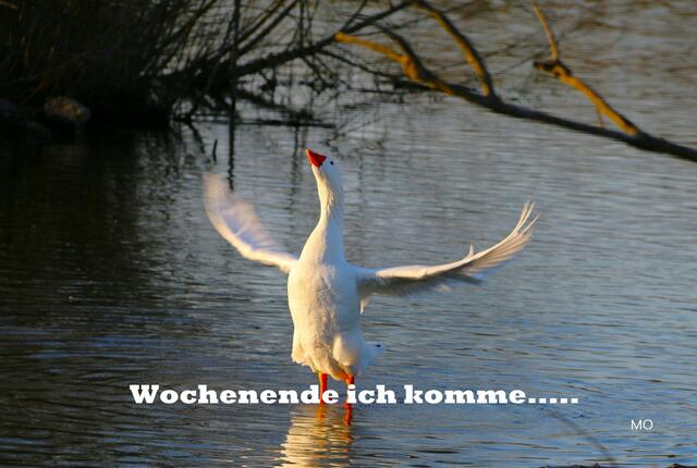 Wochenende ich komme.....