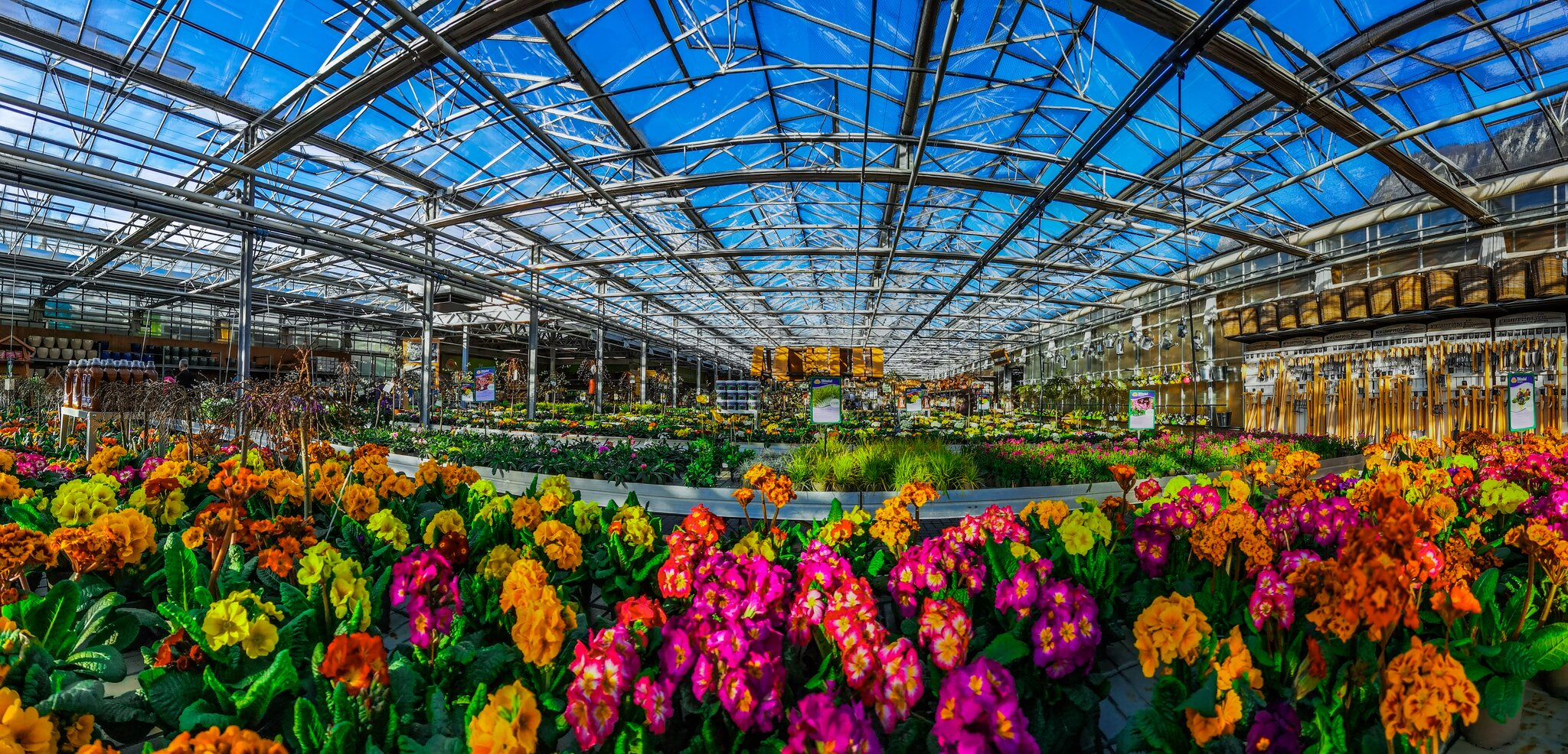 Frühling im Hödnerhof Ebbs.