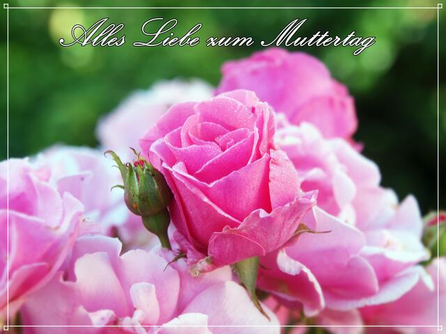 Zum Muttertag
