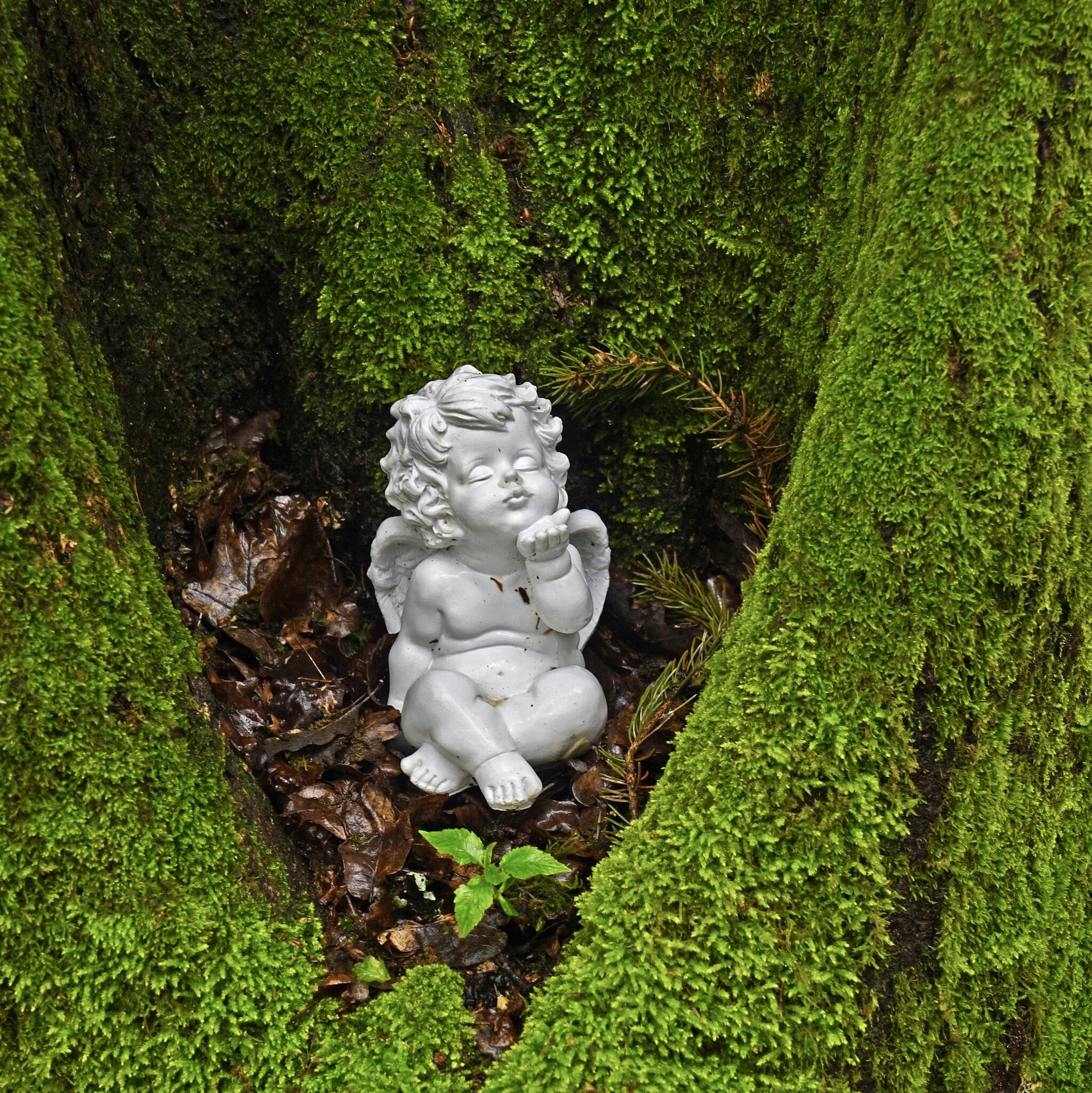 Entzückender Engel im Wald