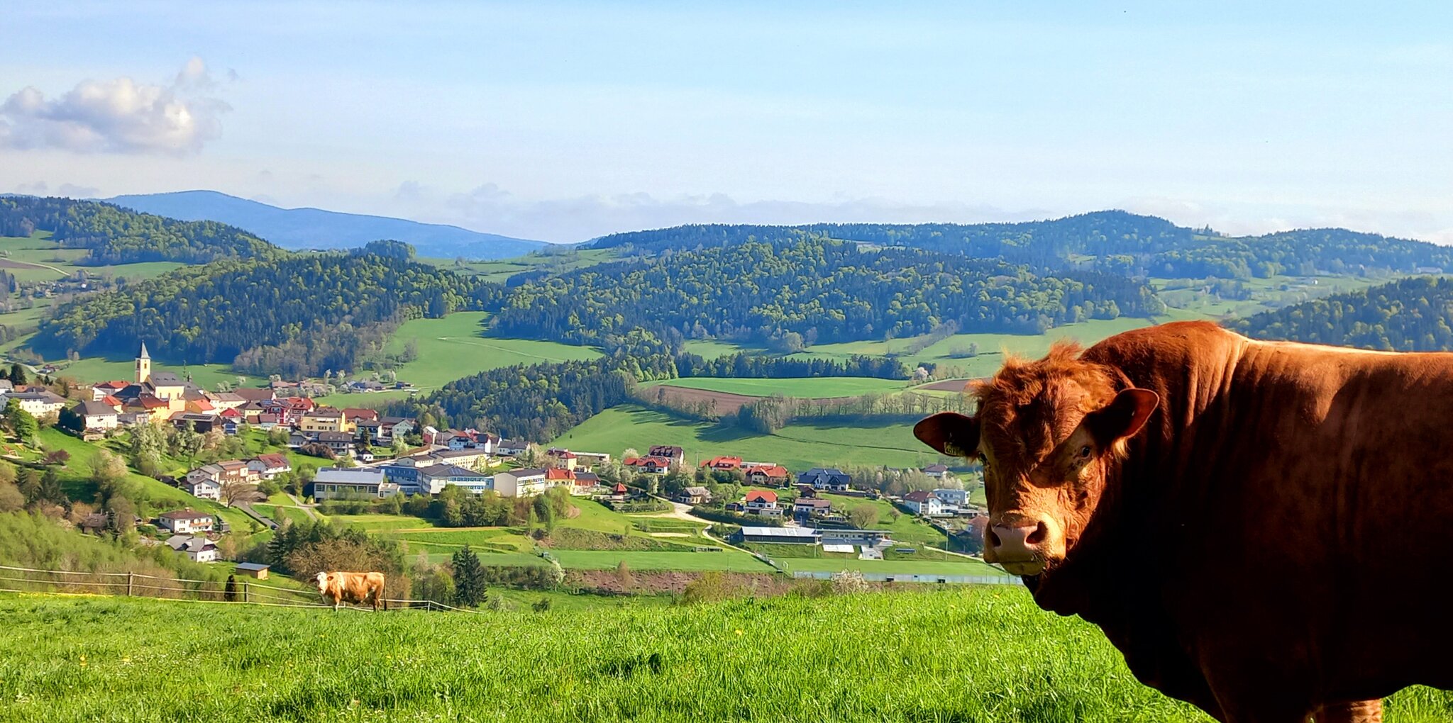 Er wollte unbedingt mit aufs Bild! 😃