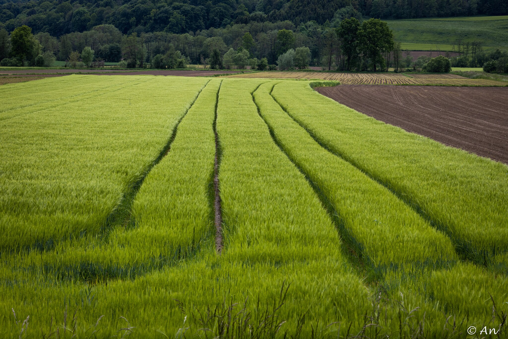 Nebeneinander miteinander ...