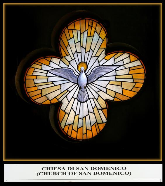 Tauben gelten im Christentum als Zeichen des Friedens -- Foto von mir ...