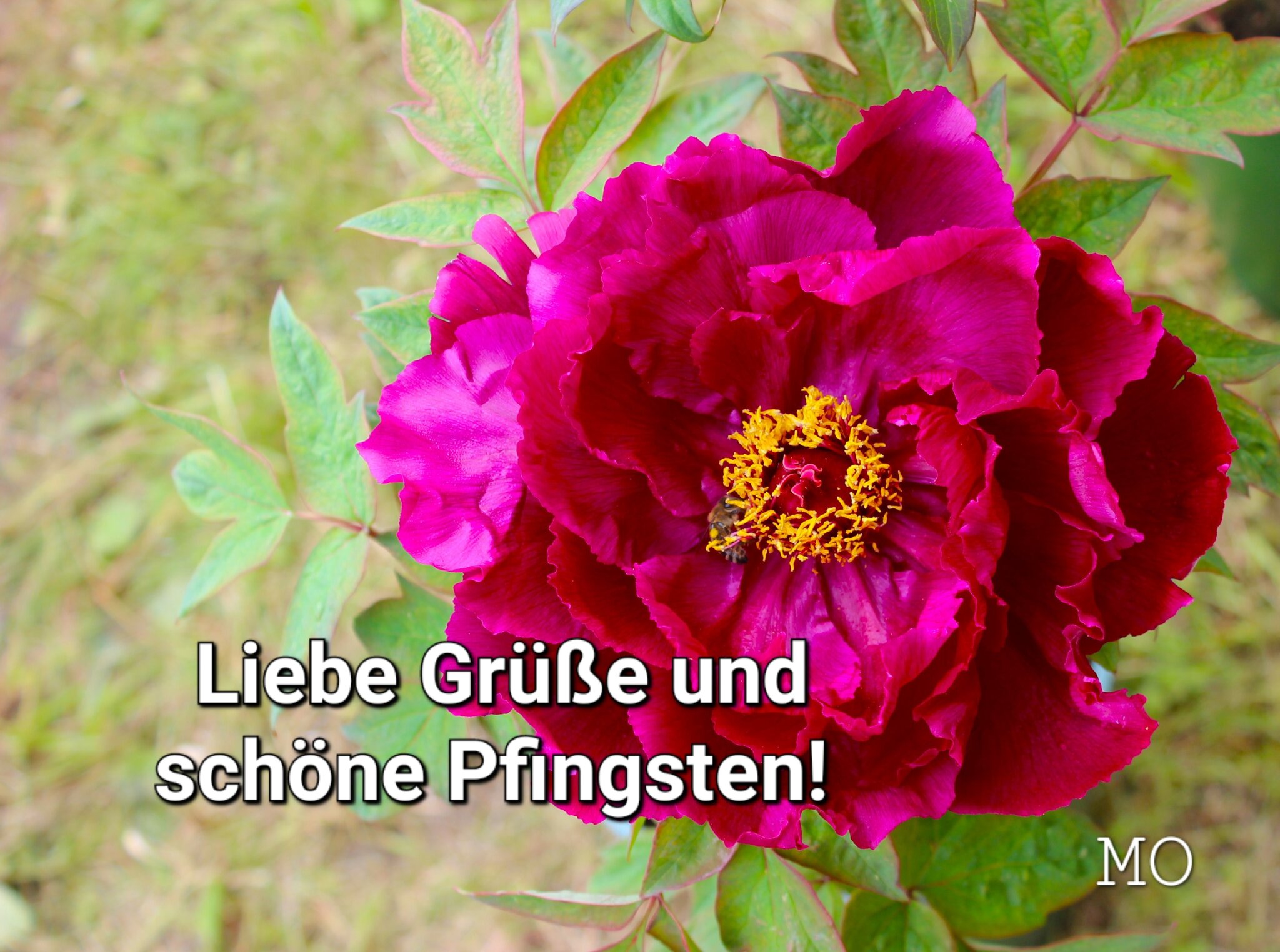 Liebe Grüße und schöne Pfingsten!