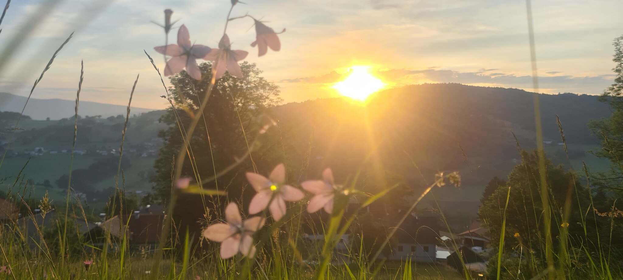 Schönen Feiertag 😍