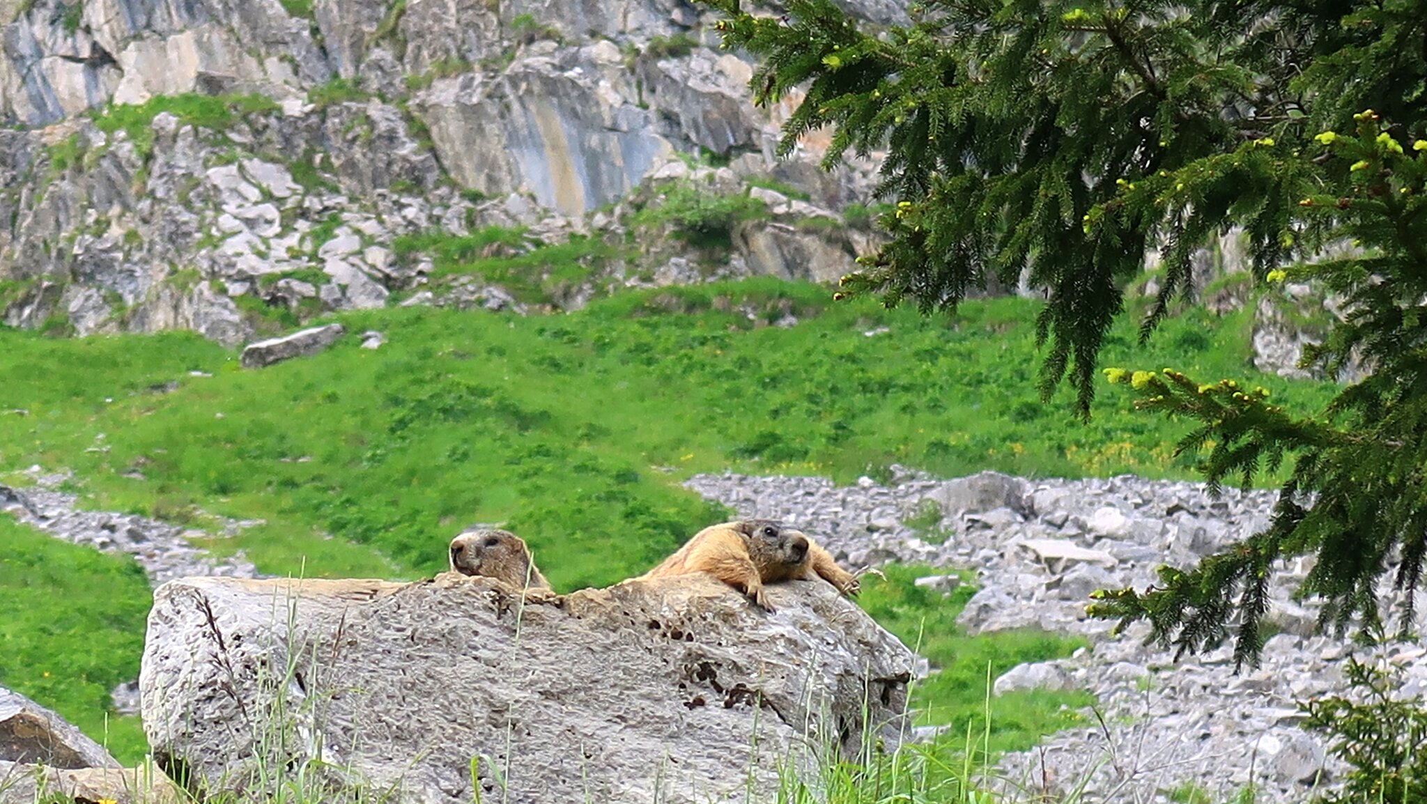 Boa bin i fertig...einfach mal alles austrecken und genießen