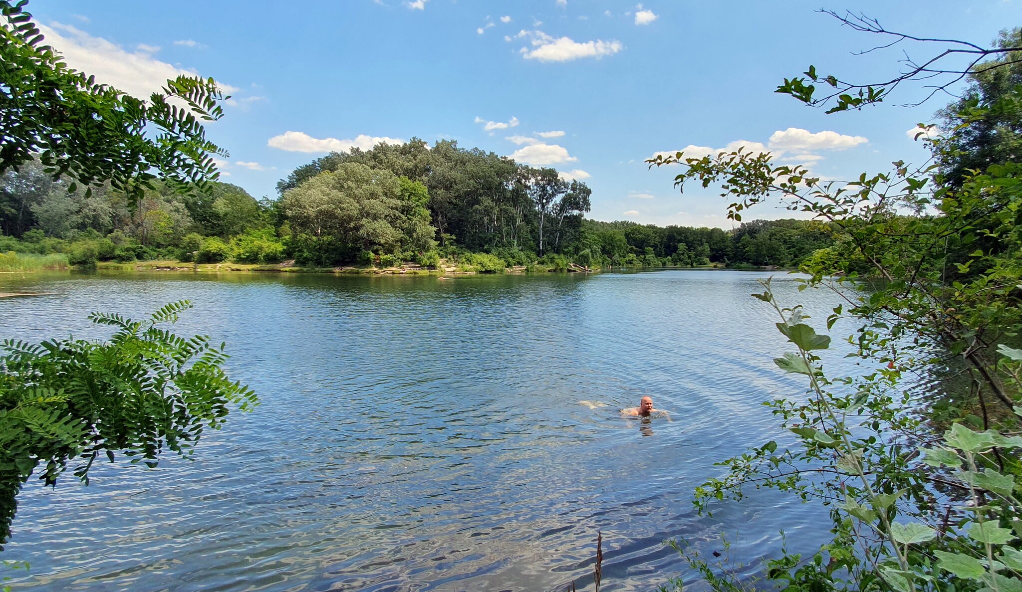 Das Naturparadies Lobau ist noch immer für Ausflüge zu empfehlen. Es ...