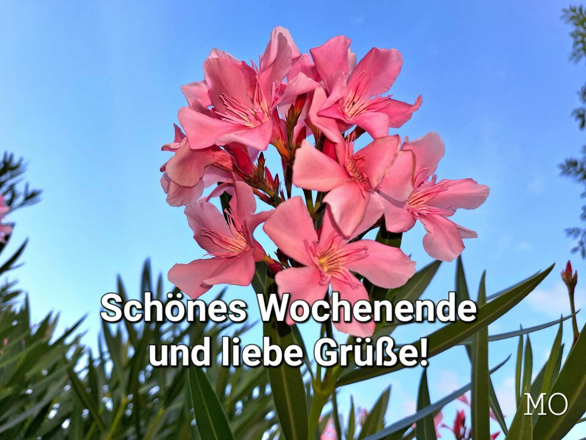 Schönes Wochenende und liebe Grüße!