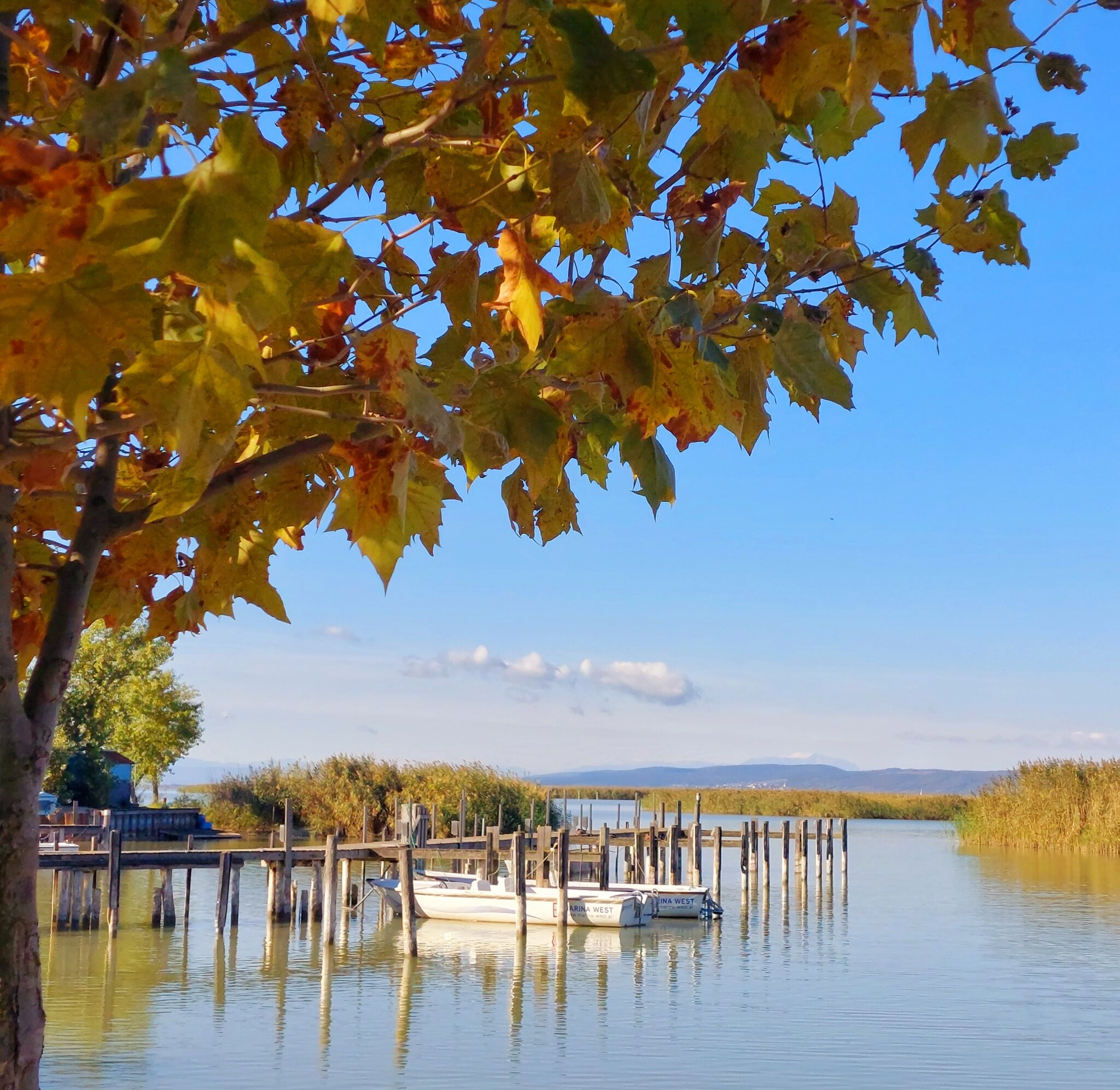 Sonnenschein am Neusiedler See