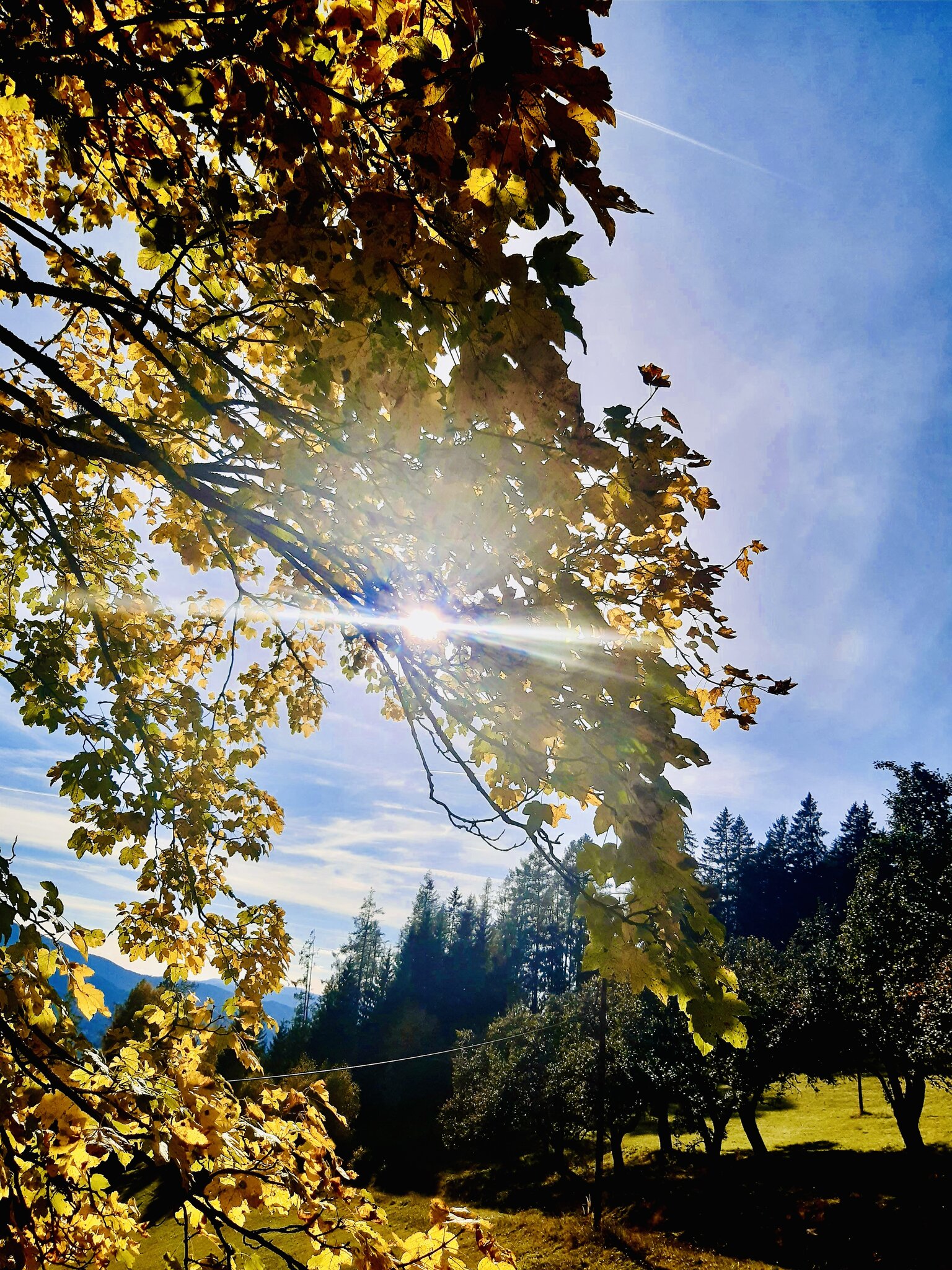 Frischluft gespickt mit Sonnenstrahlen
