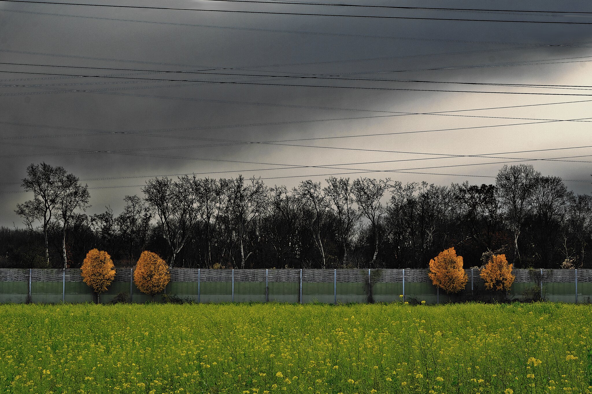 Vernetzte Landschaft
