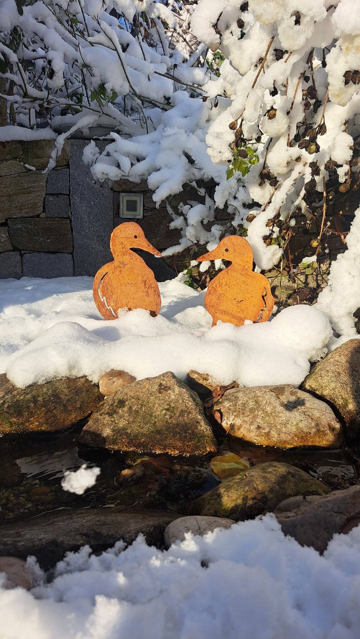 Enten im Schnee