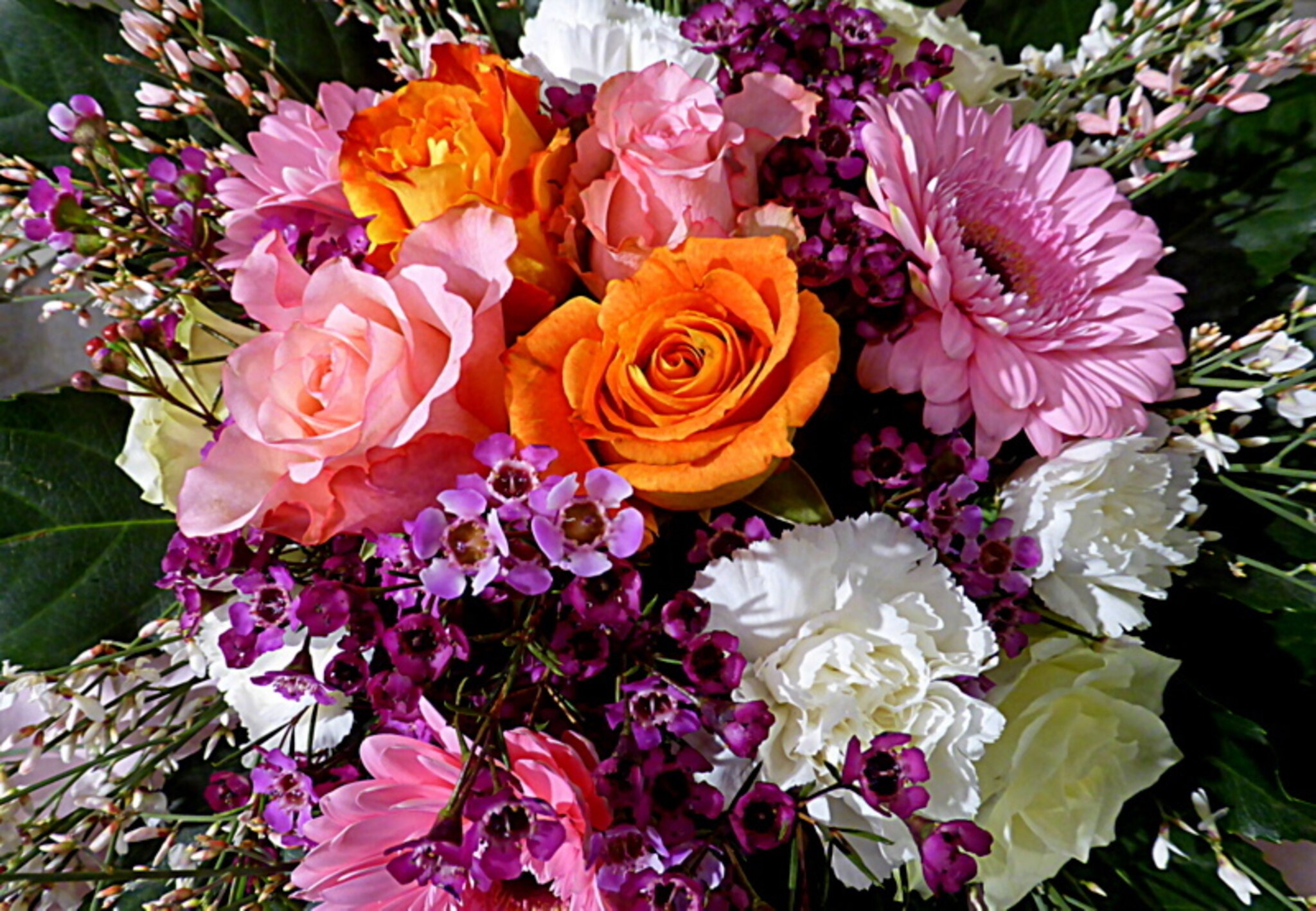 The Magic of Flowers 🌼🌸🌺🌹🎋