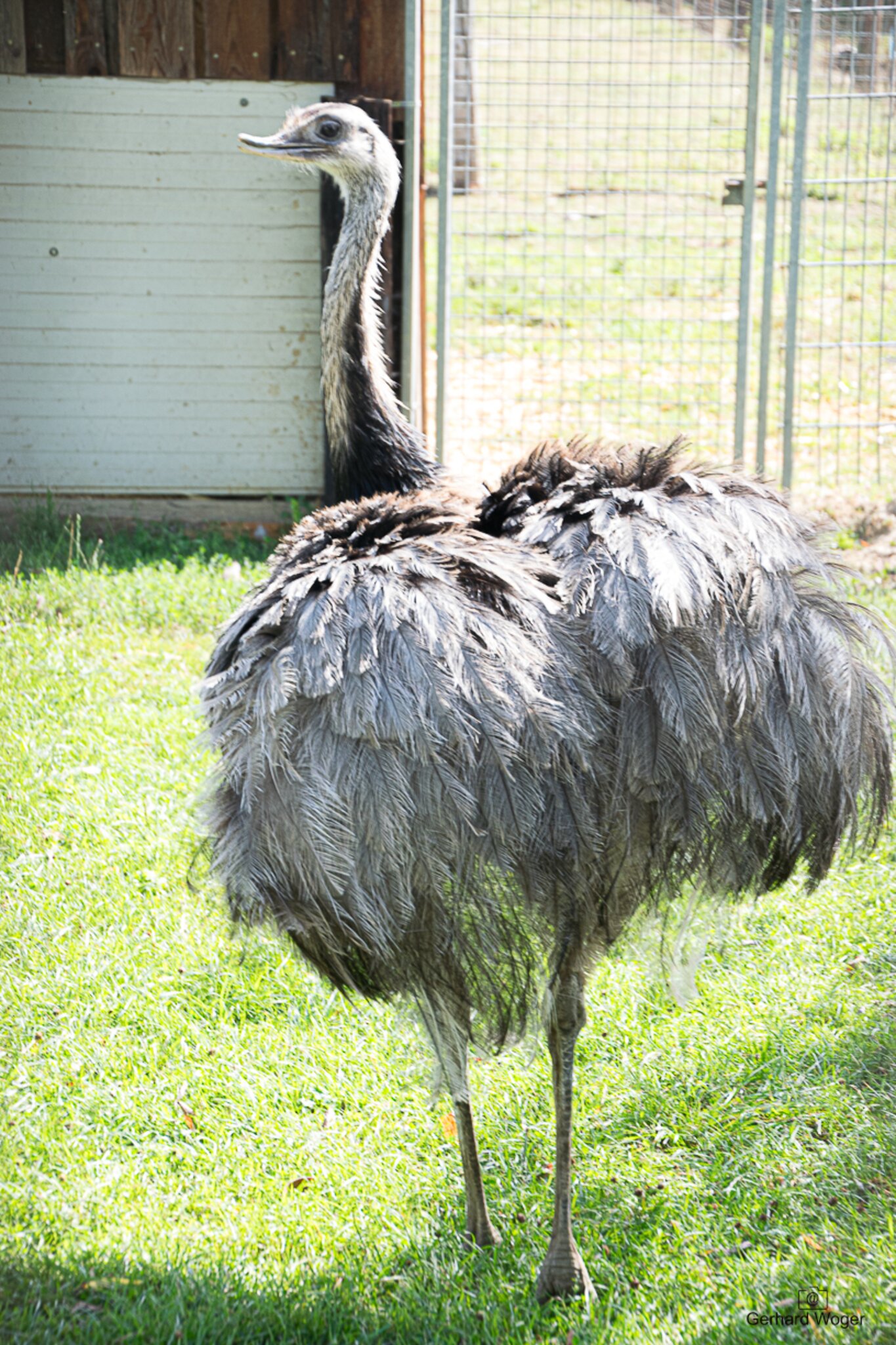 Ausblick auf die Wetterlostage für die Kalenderwoche 12