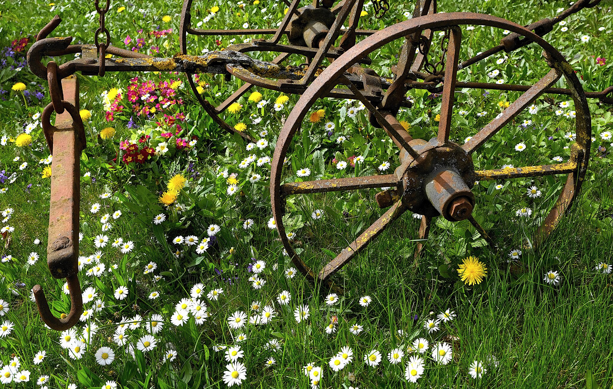 Rost trifft Frühling