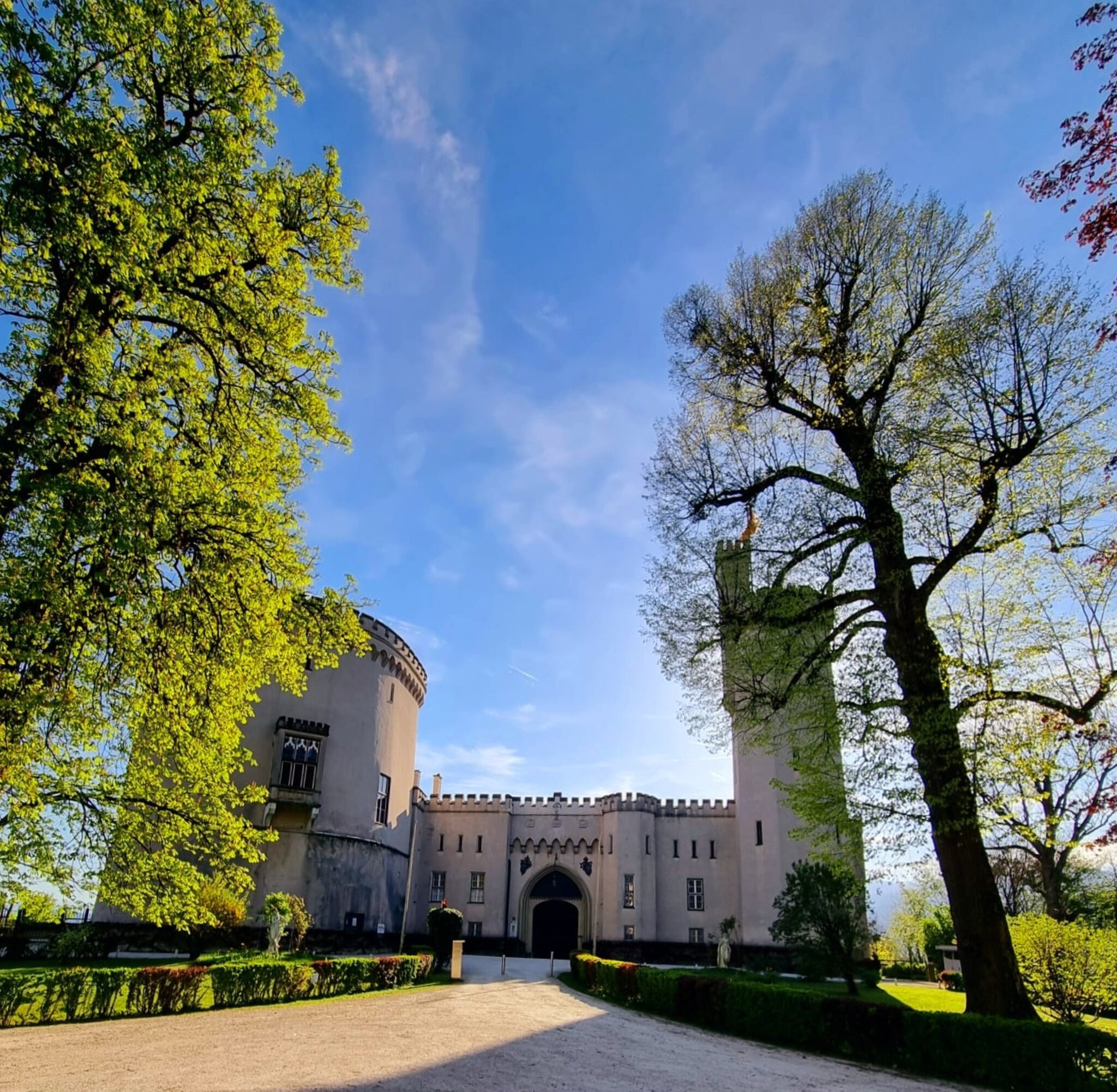 Es grünt so grün auf Schloss Wolfsberg