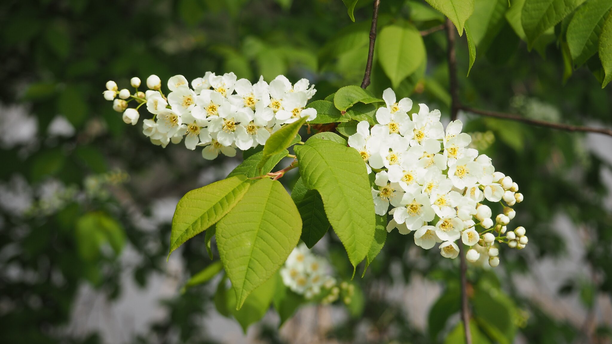 Das Glück ist ein Mosaikbild, das aus lauter unscheinbaren kleinen ...