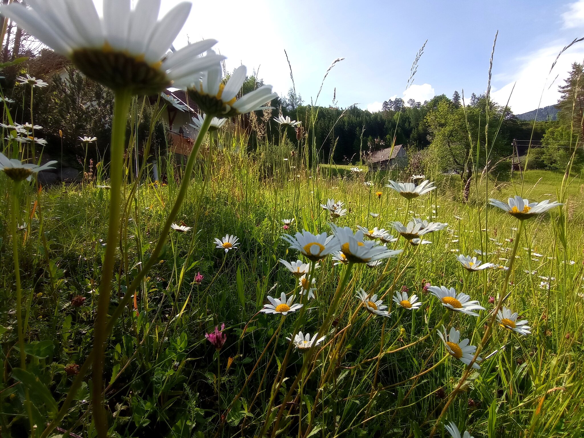 "Die Natur lässt uns lächeln"