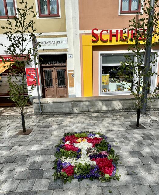 FRONLEICHNAM BRAUCH - BLUMENTEPPICH MIT ZWEI BIRKEN AM STADTPLATZ VON MZ