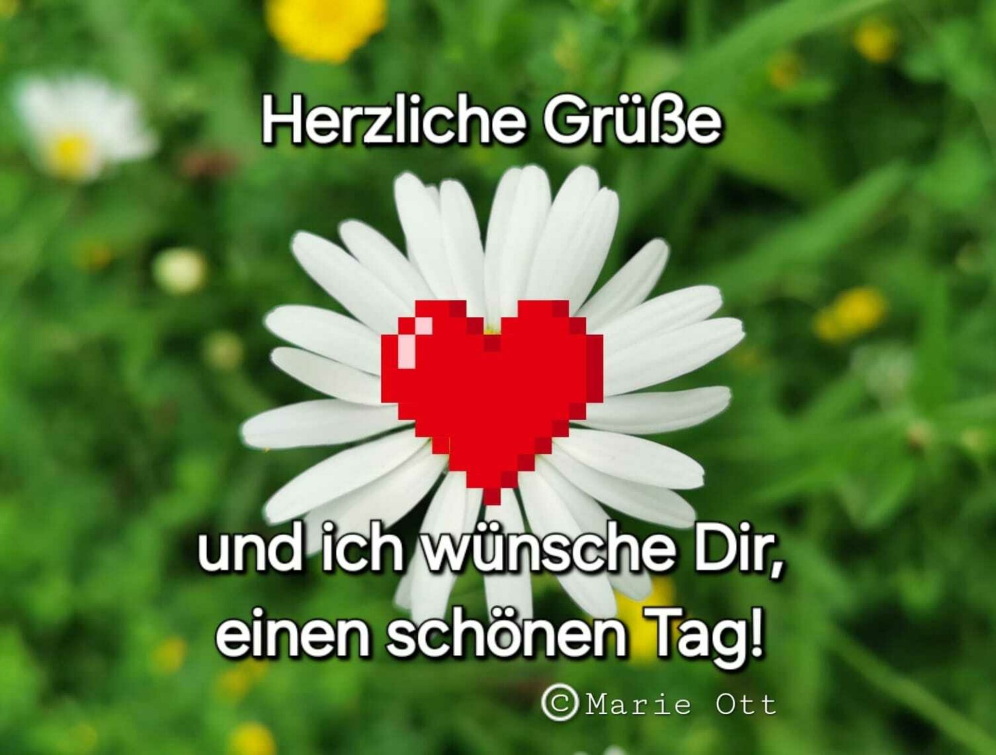 Wunderschöne Schönen Tag Gruß Bilder Ebenbild