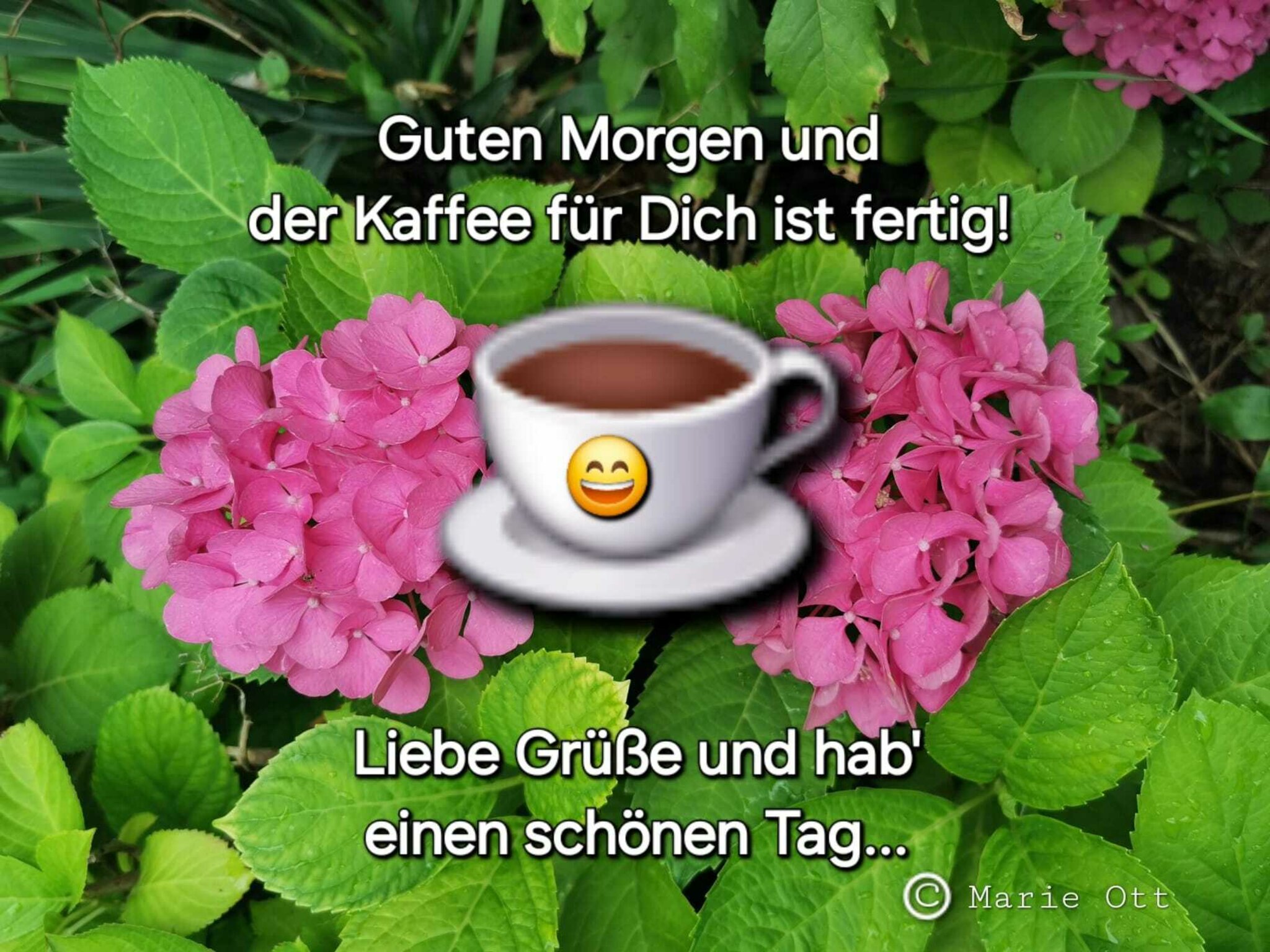 Guten Morgen Kaffee Fur Dich Bilder