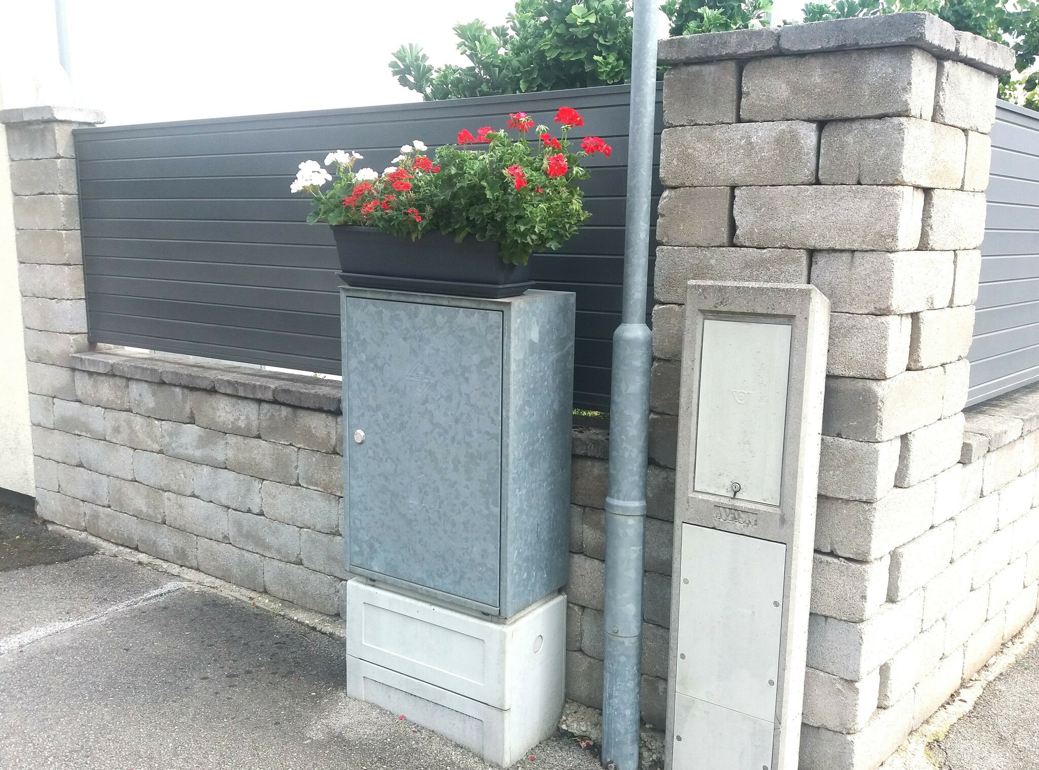 Blumenschmuck verschönert auch in dieser Form unser Stadtbild