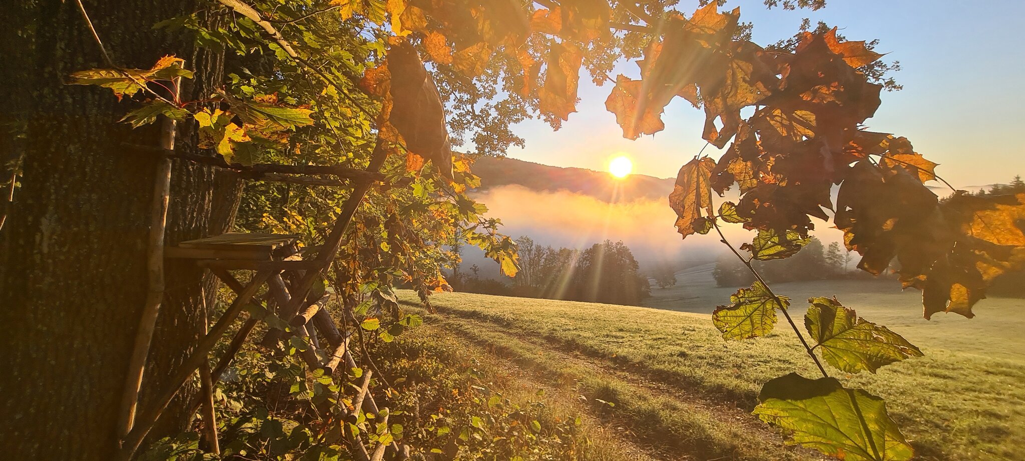 Frostig und einfach herrlich