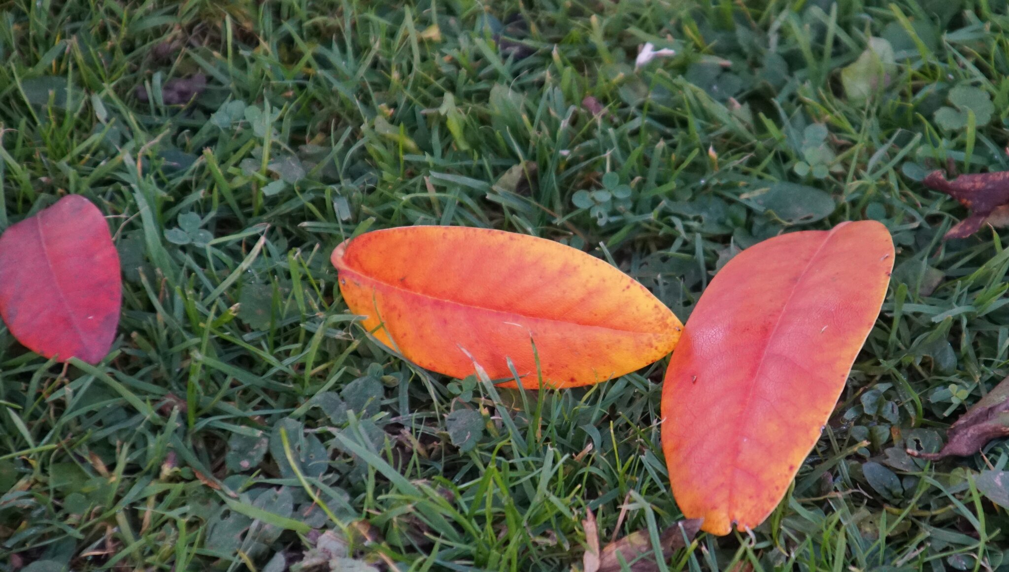 die Natur ist was Schönes