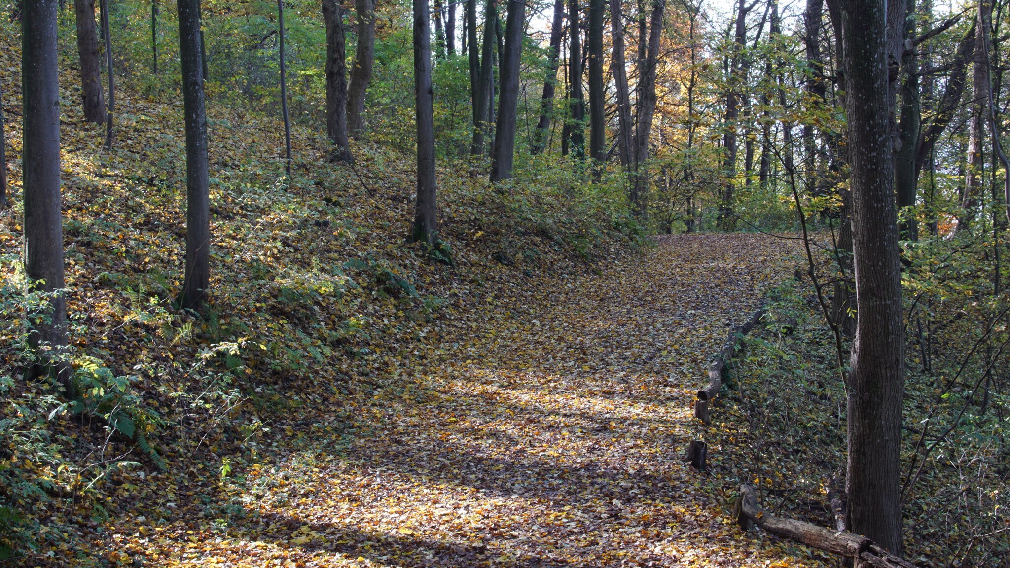 die Natur ist was Schönes