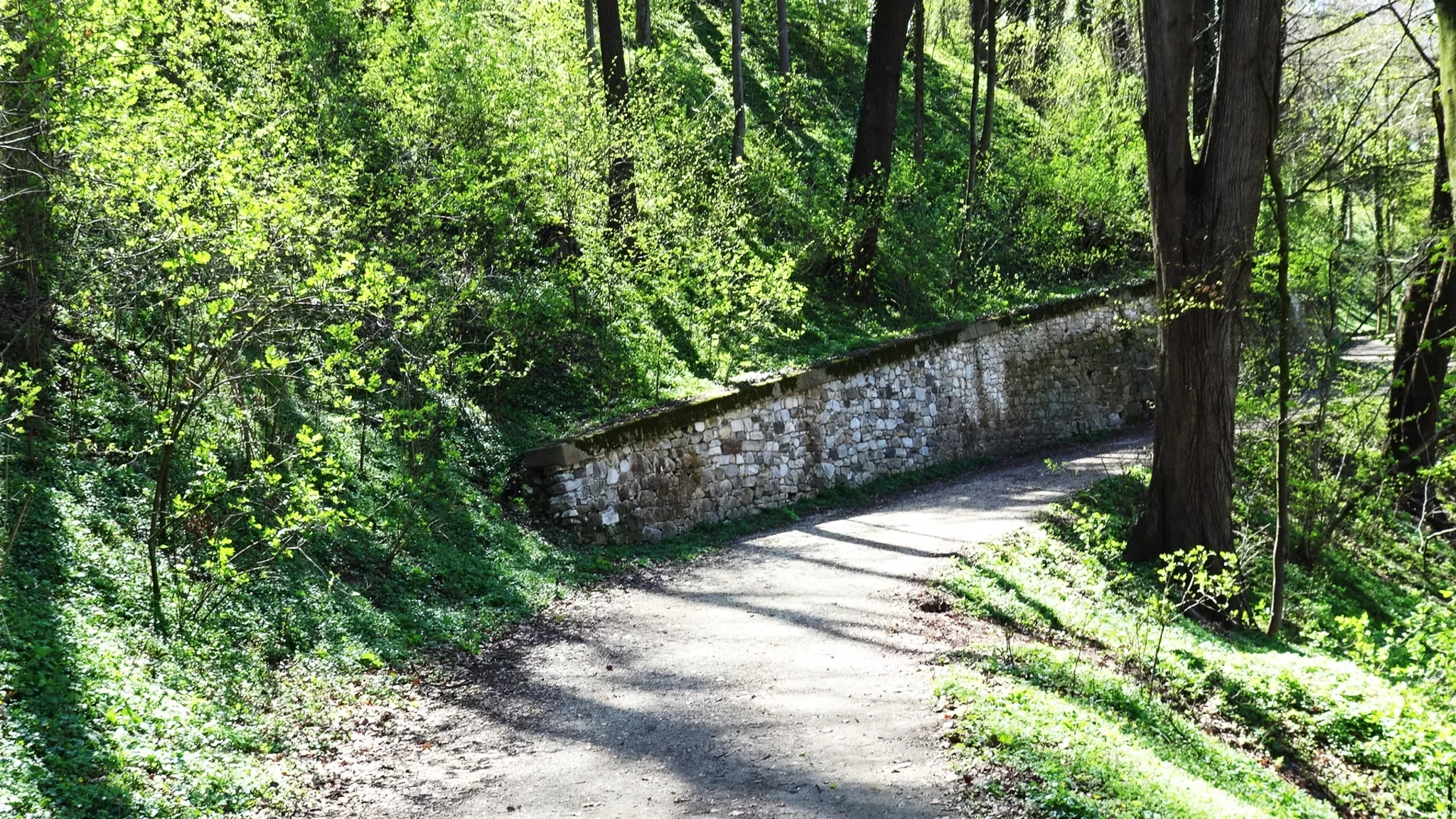 die Natur ist was Schönes