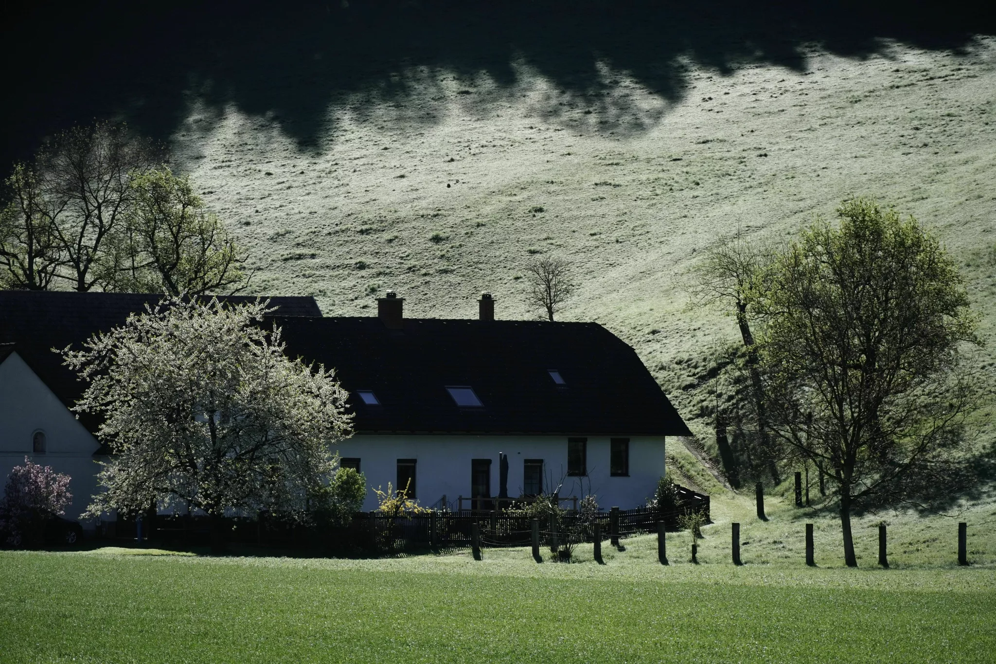 NACHEN DEM FRÜHNEBEL Über Nacht gab es Nebel über Heufeld bei Gloggnitz ...