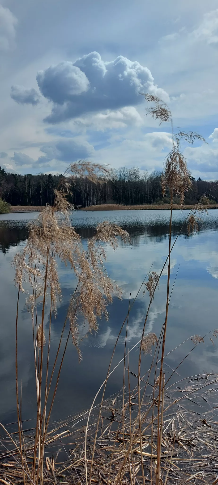 Spiegelbilder