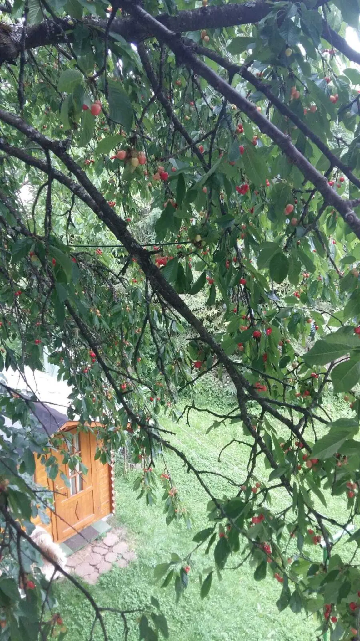 Wünsche euch einen schönen heutigen, verregneten Tag; ein Regentag der ...