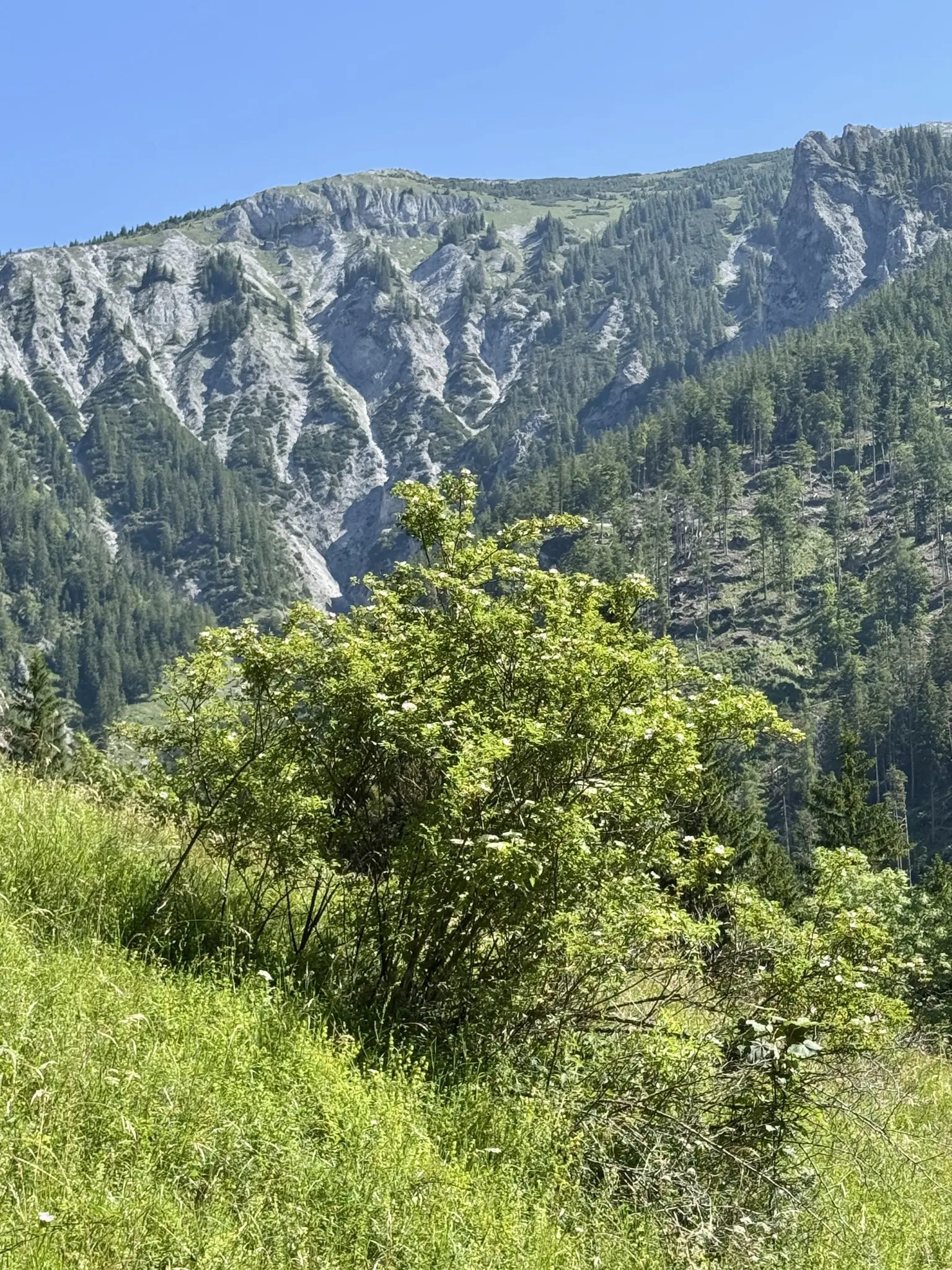 TIROL RUNDWANDERWEG