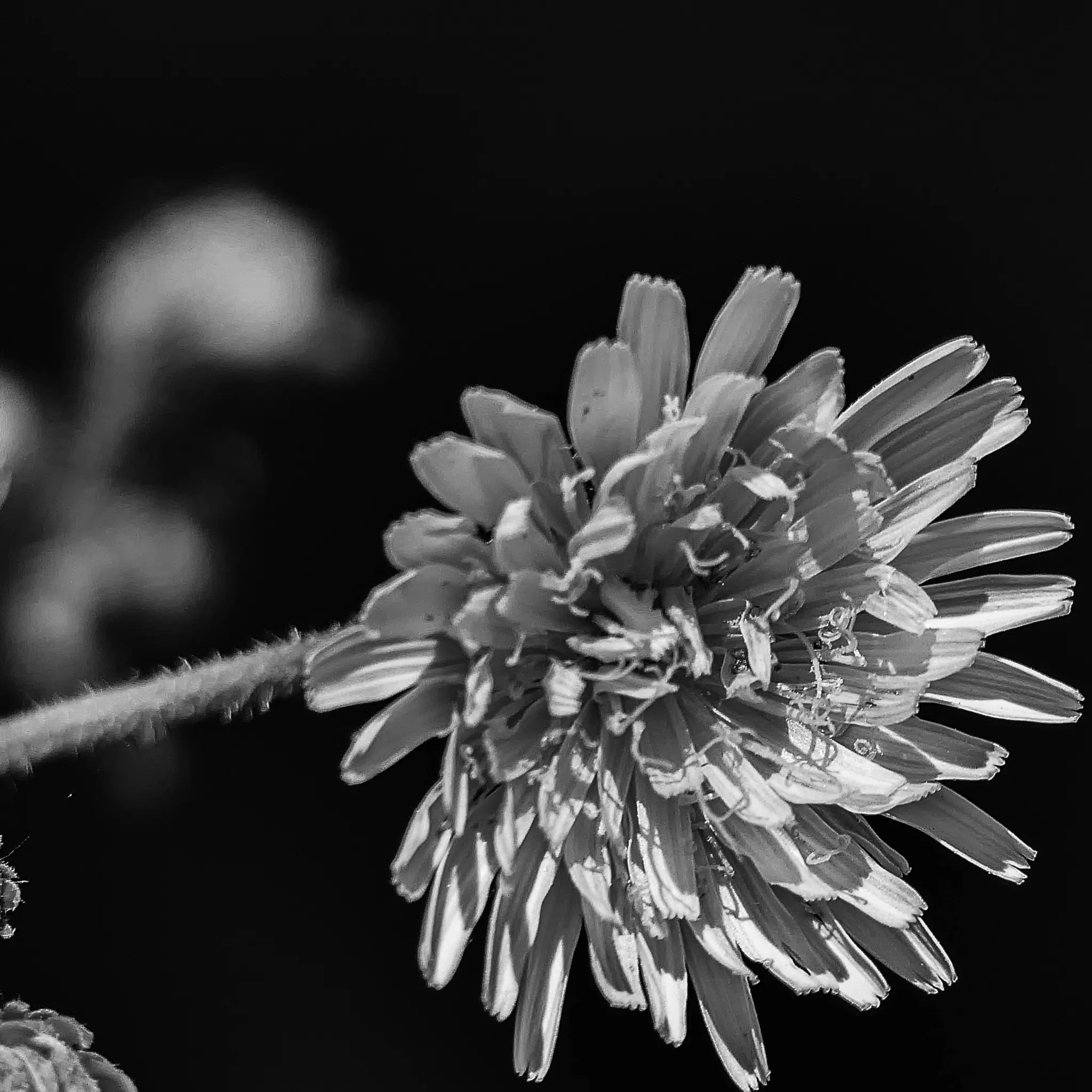 ..wünsche euch allen ein schönes und sonniges Wochenende, lieb Grüße Kurt