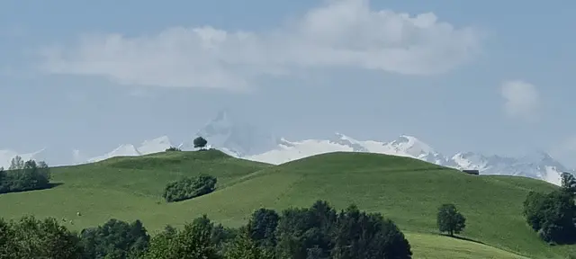 "Kitz"
