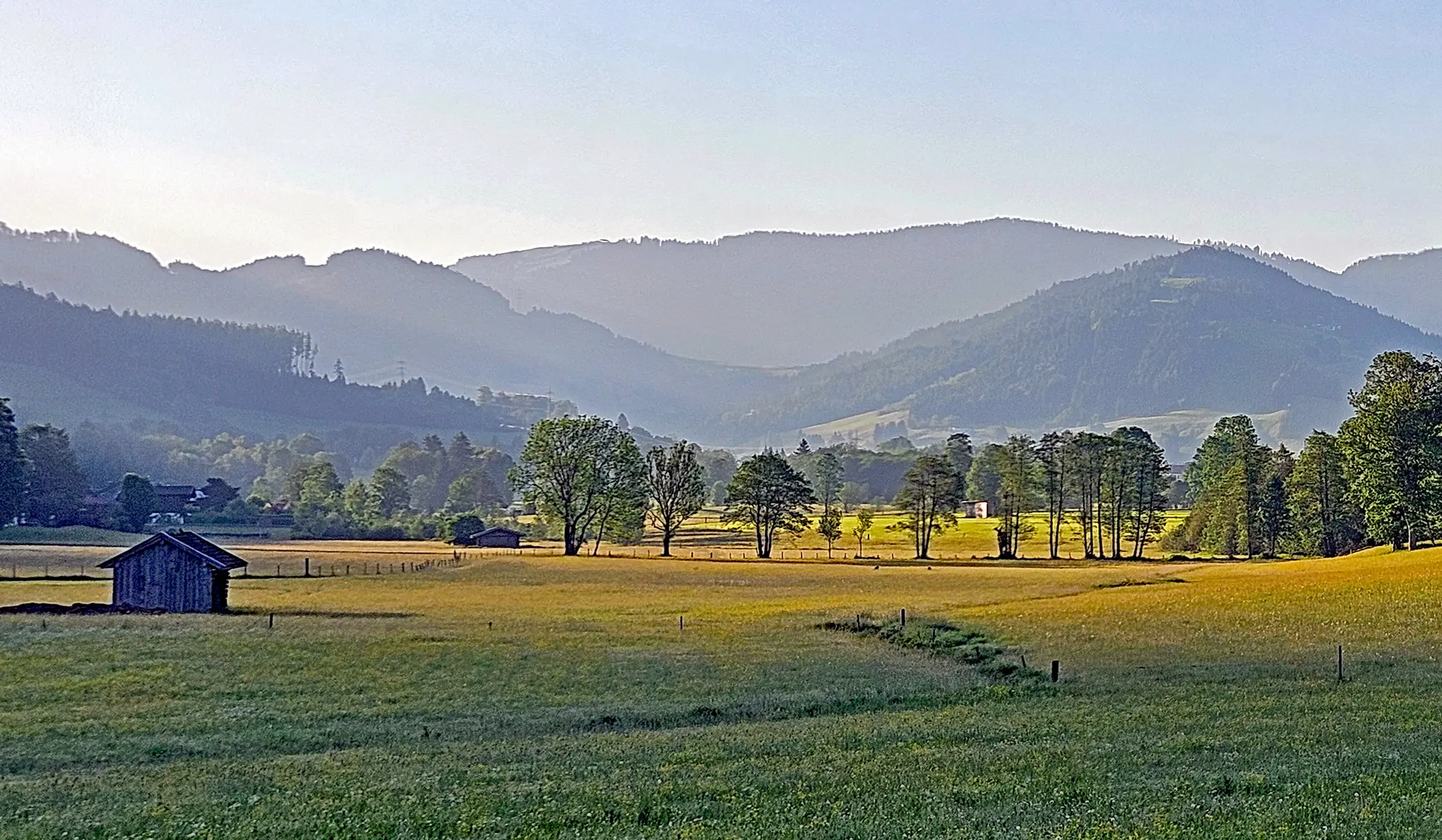 Licht