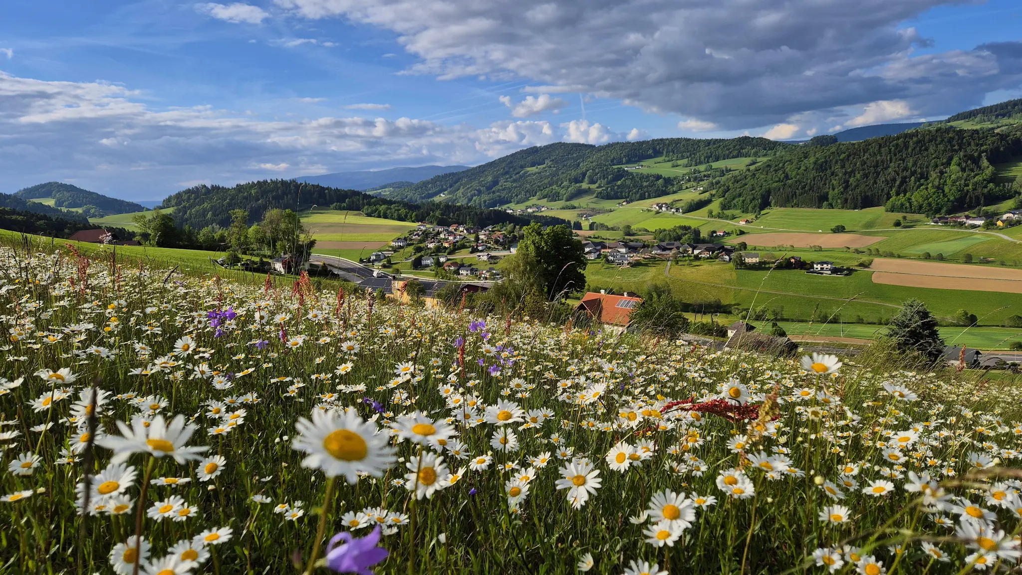 Mühlviertler Landschaft