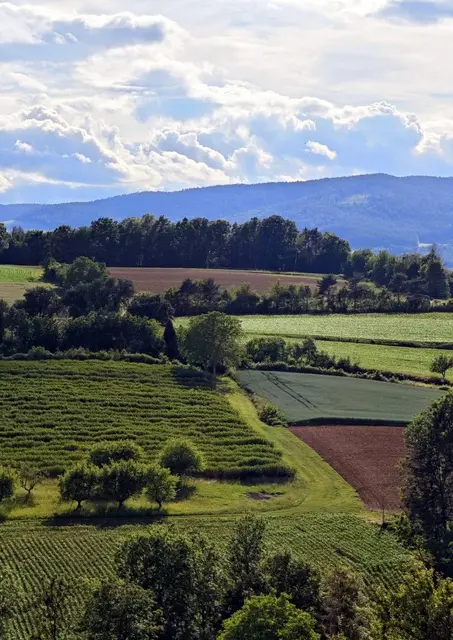 Blick ins Land