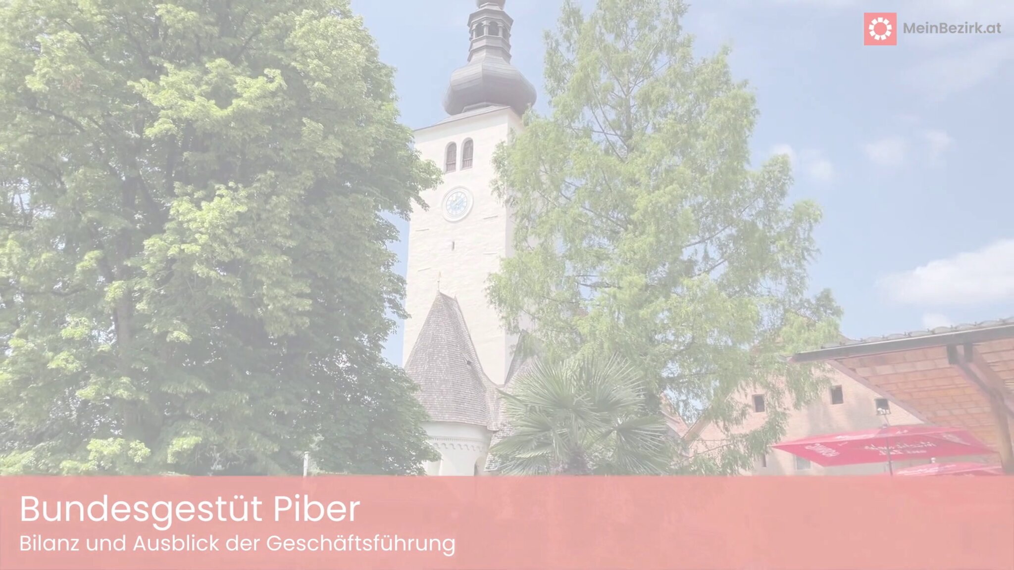 Rückblick und Neuausrichtung: Bundesgestüt Piber bekommt demnächst ...